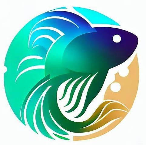 Octopus Tank Step-by-Step Setup Guide - Exotic Aquatic Pets